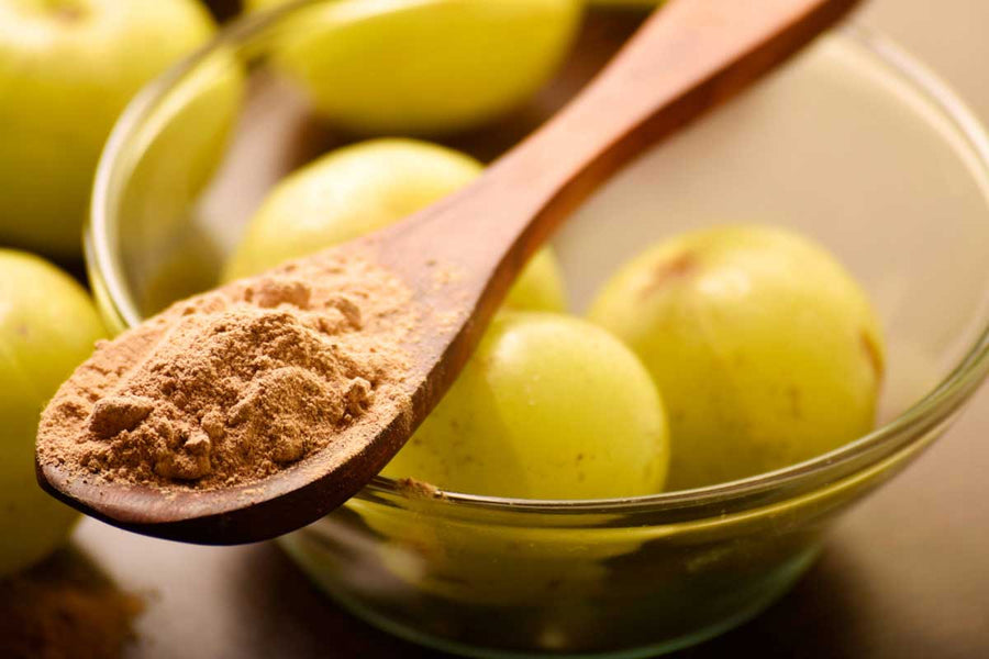 12 Things to Know About Amla Powder: Unleash the Power of Nature's Vit ...